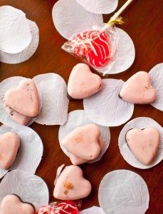 Chocolate Covered Cherry Frozen Yogurt Bon Bons
